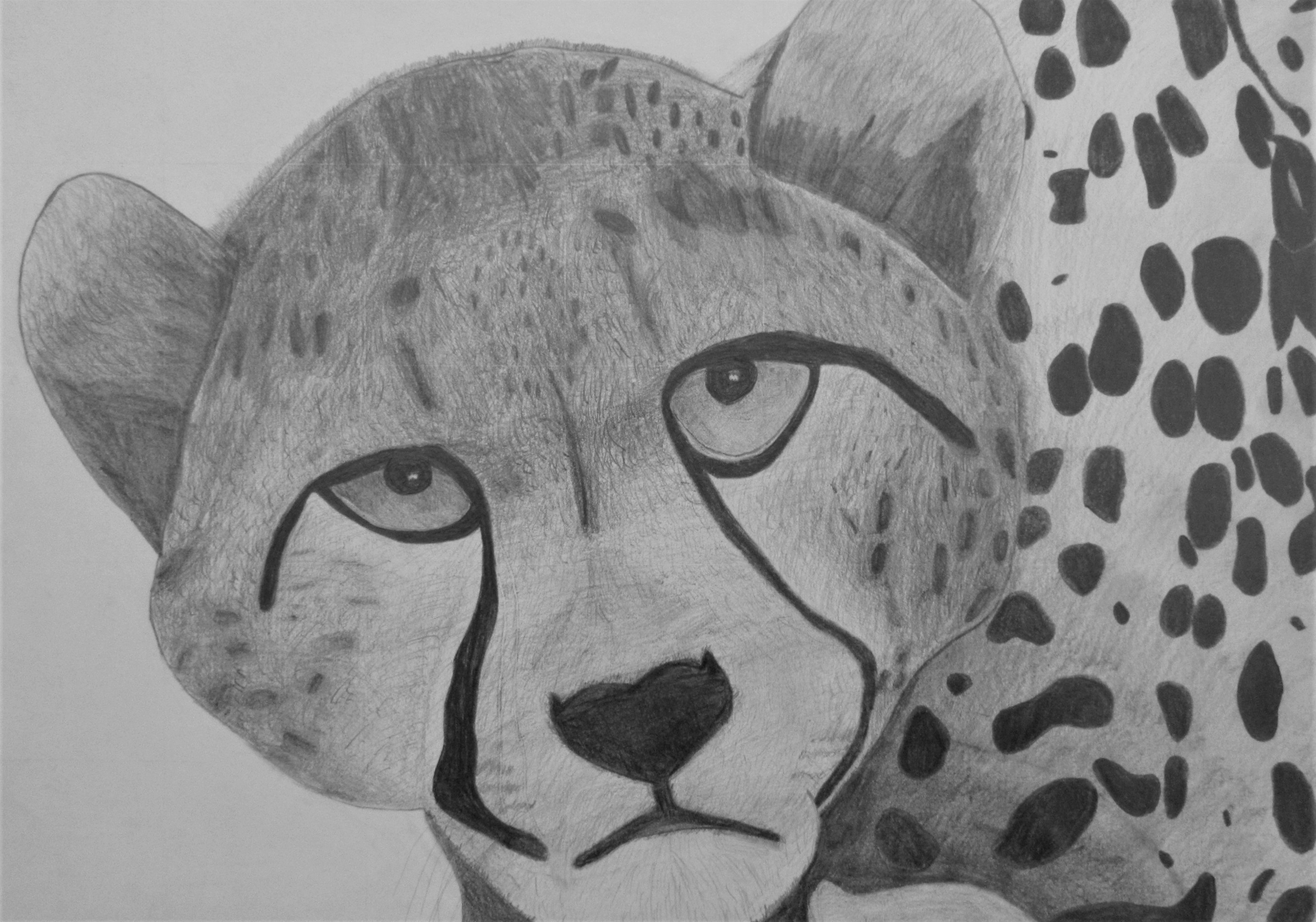 Woodruff Middle School Student Art Featured at Chapman Cultural Center ...