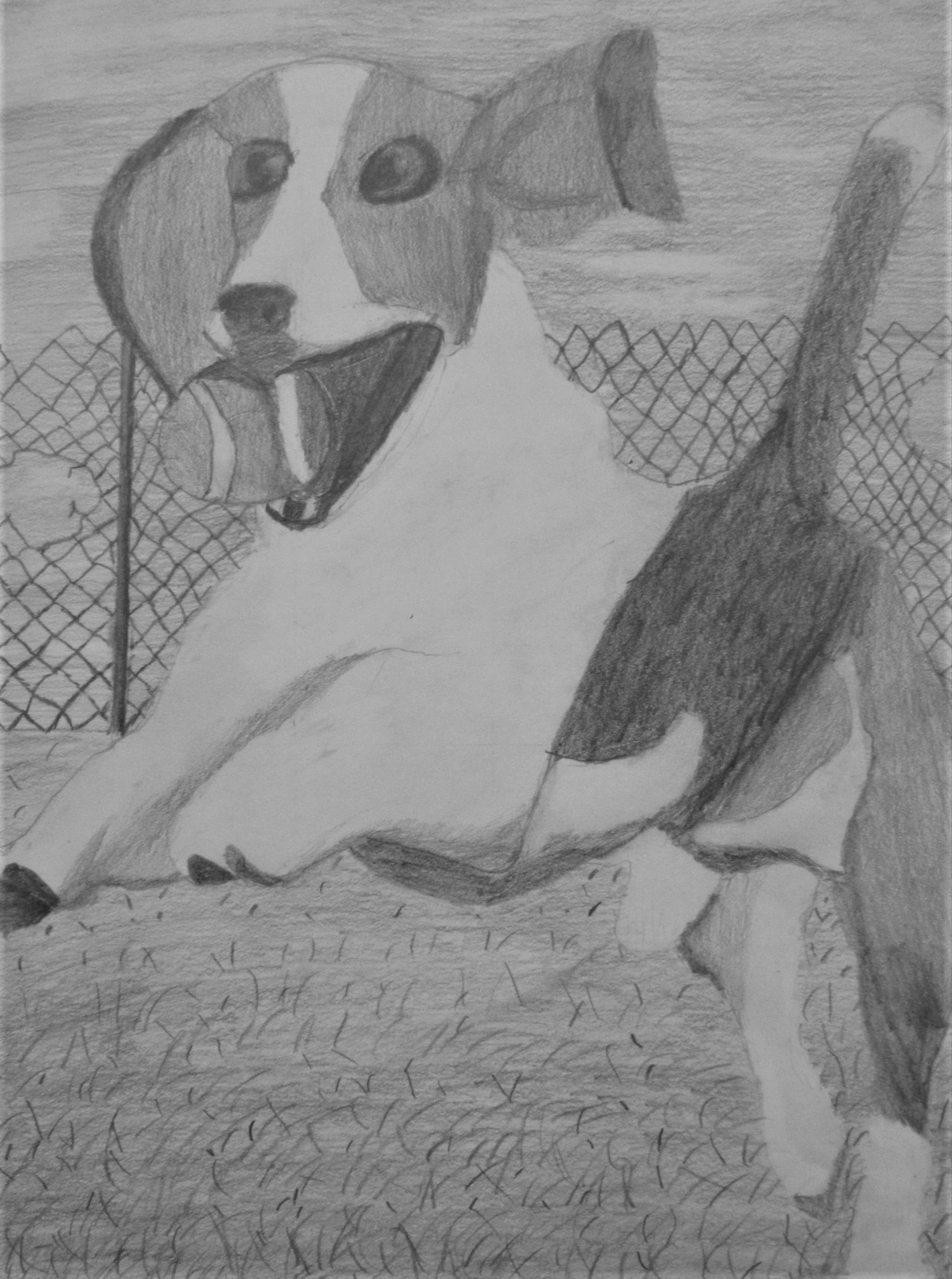 Woodruff Middle School Student Art Featured at Chapman Cultural Center ...