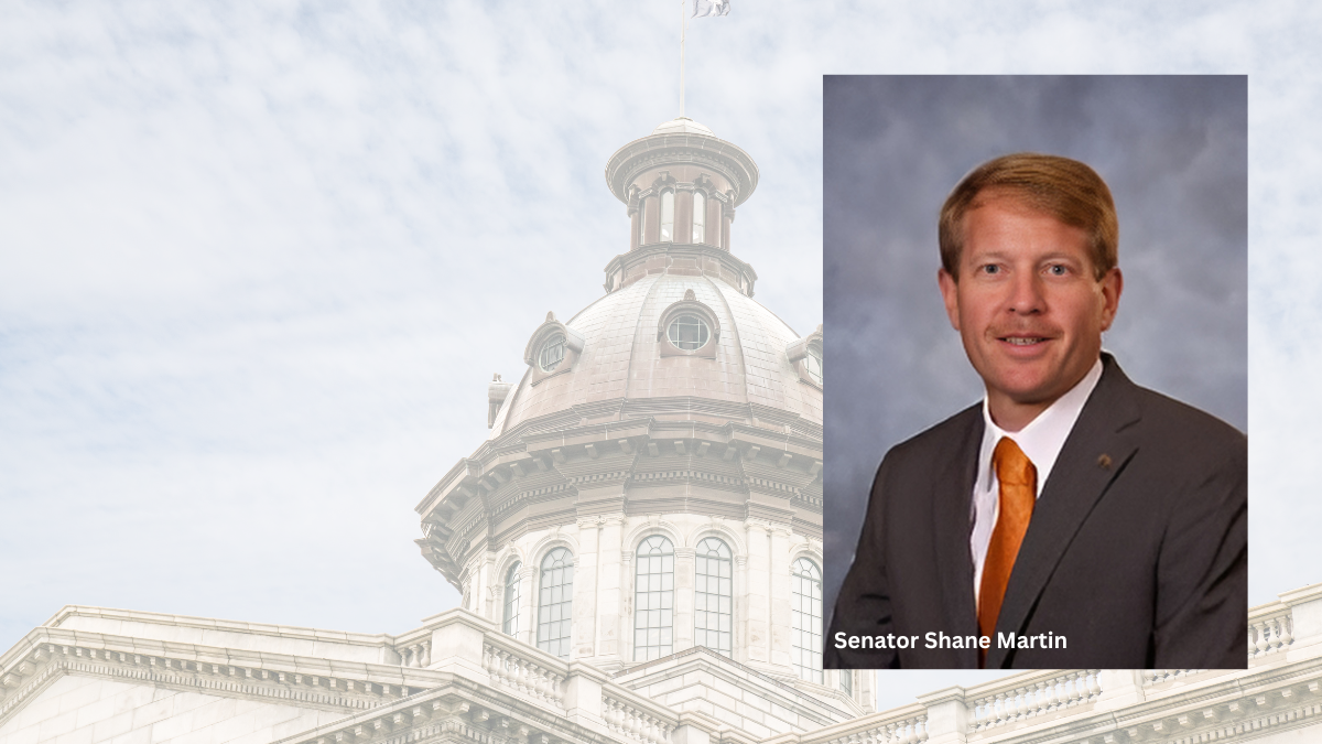 Constitutional Carry and Medical Freedom - The Woodruff Times