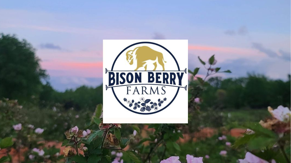 1st Annual Blackberry Farm Festival - The Woodruff Times